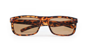 15 Fascinating Facts of Tortoise Shell Patterns You May Never Know